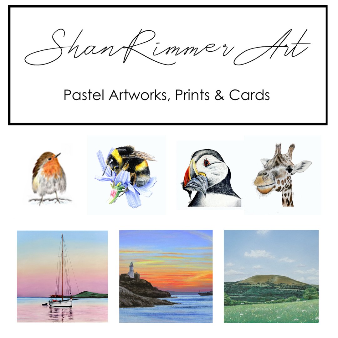 SHAN RIMMER ART - Pastel artworks, Prints & Cards – The Cheeky Sheep
